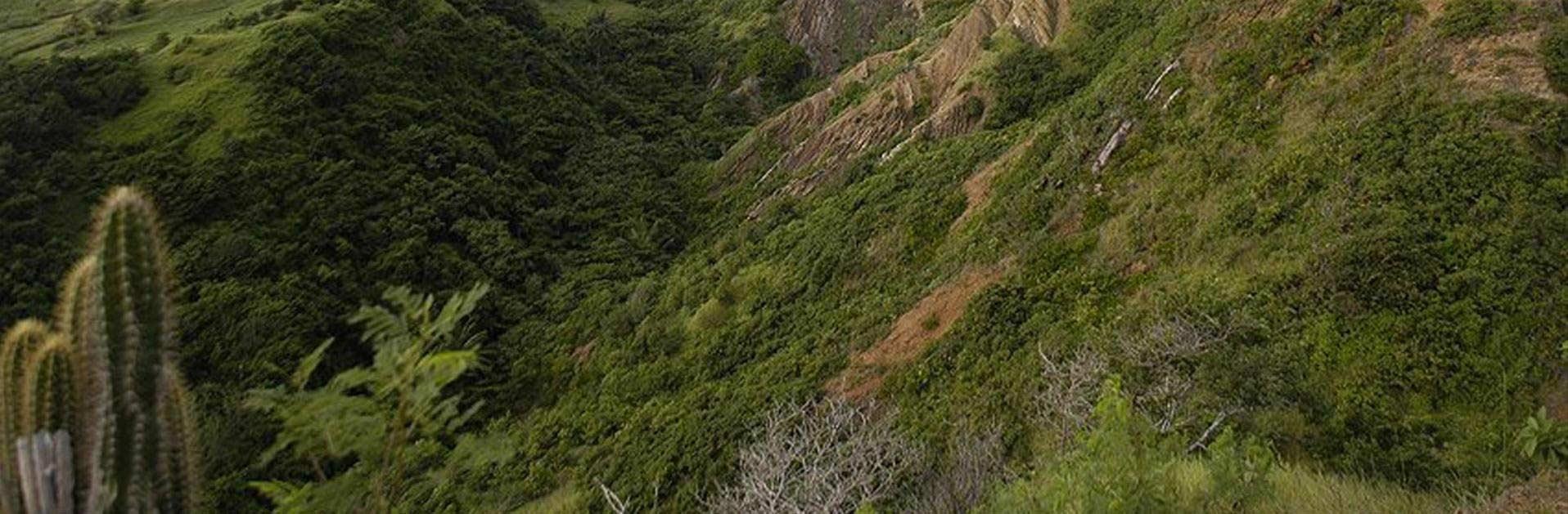 Hike Barbados & Explore the Breathtaking Caribbean on Foot