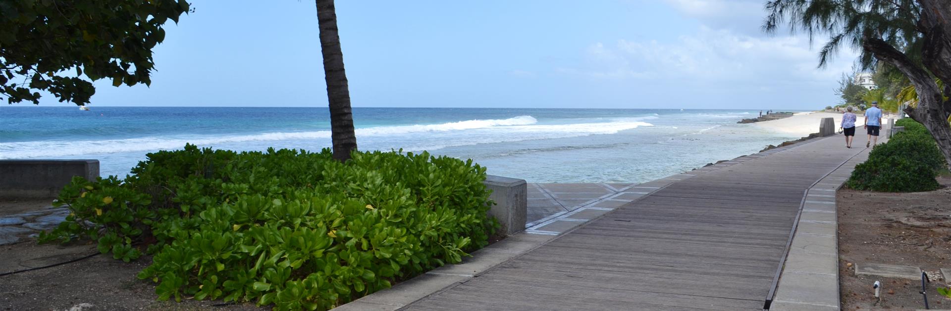 Richard Haynes Boardwalk