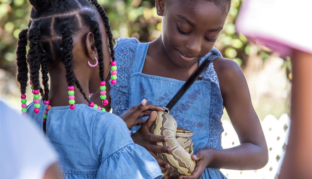 Explore The Paradise Nature Park - Visit Barbados