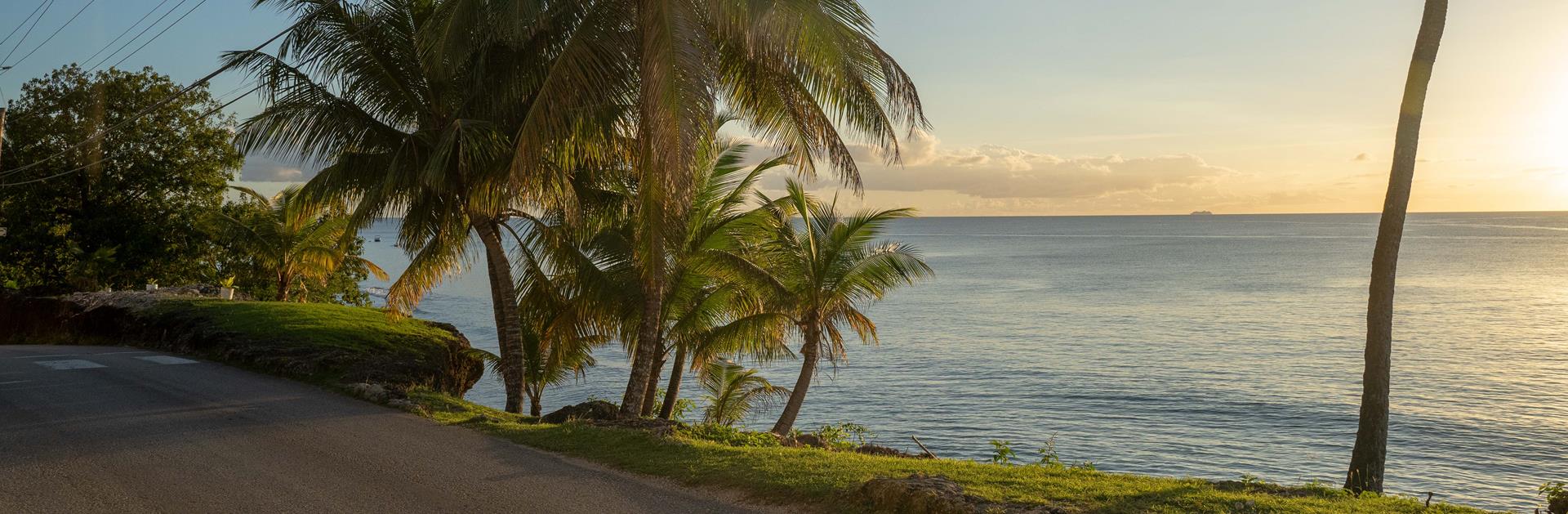 Explore Moontown - Visit Barbados