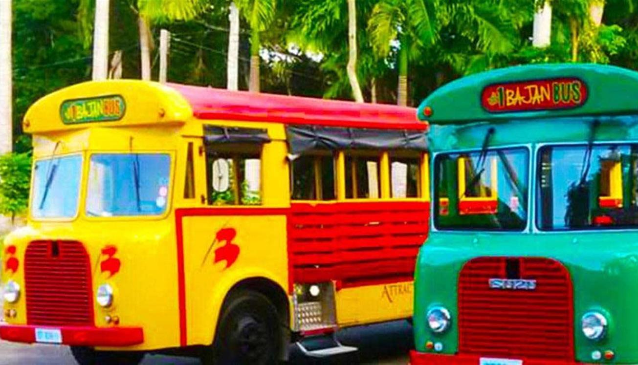 Catch the #1 Bajan Bus Tour to Explore the Caribbean Island