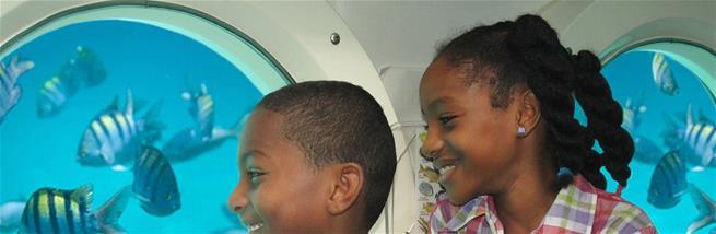 Atlantis Submarines Barbados - Caribbean's Underwater Tours