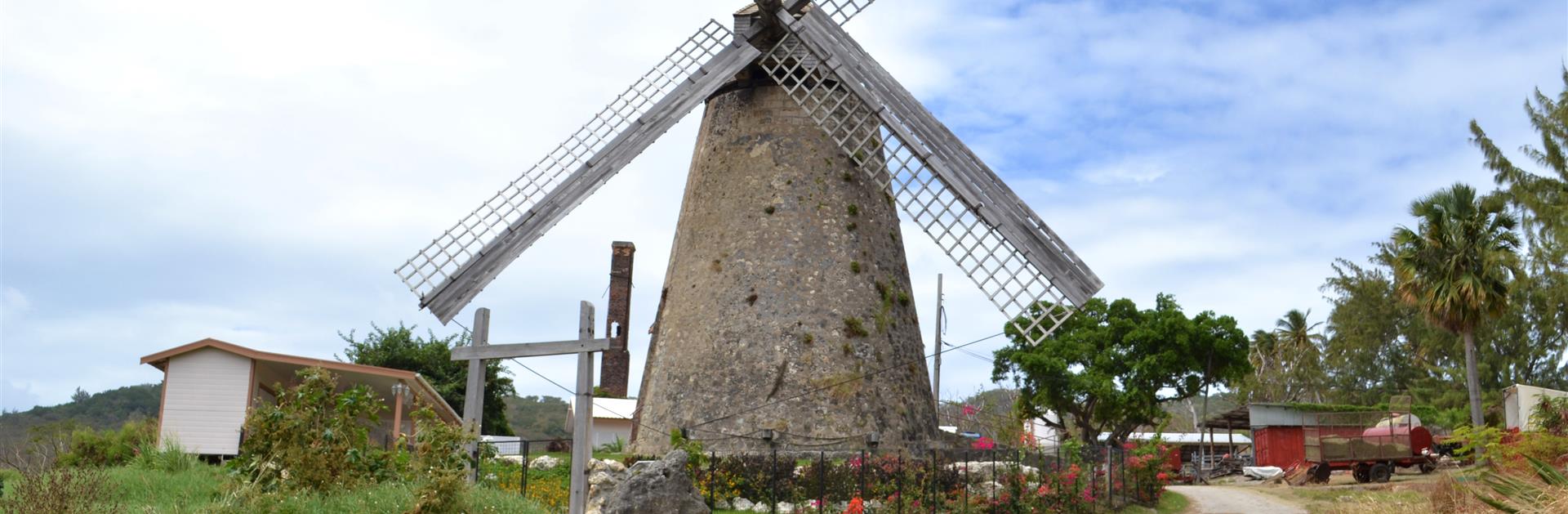 Explore The Story of Rum Begins in Barbados – The Birthplace of rum ...