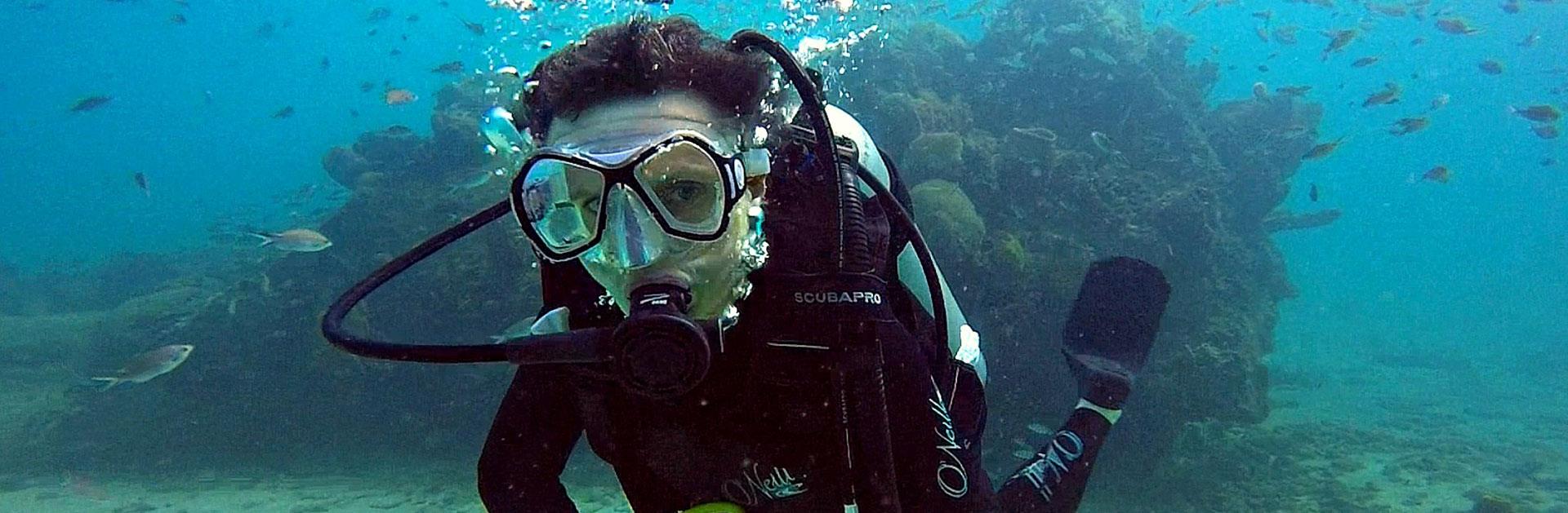 Dive Fest Barbados 2020 – Dive, Swim & Soak Up the Sun