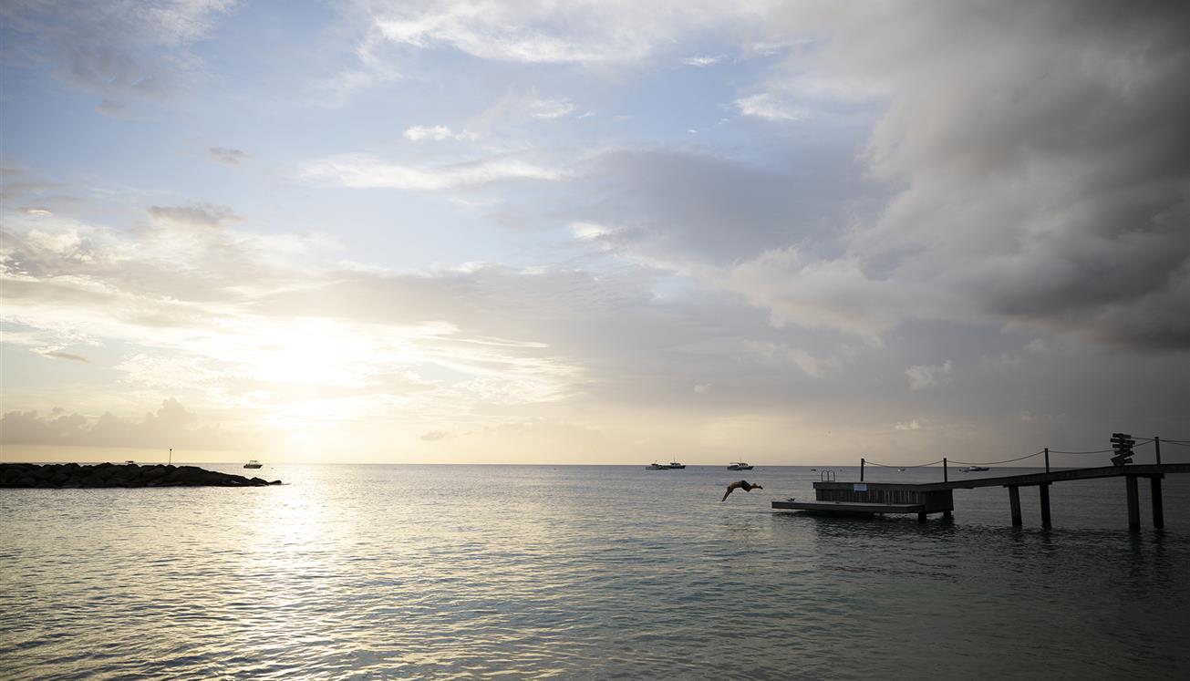 Weather in Barbados - Climate Info at Your Fingertips