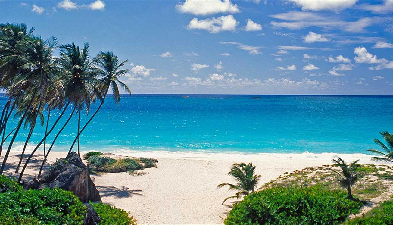 Barbados Tourism Marketing Inc. - Know How the Board Functions
