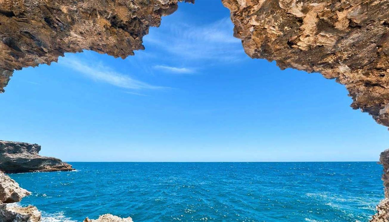 Visit Barbados - The Official Barbados Tourism Guide 2020
