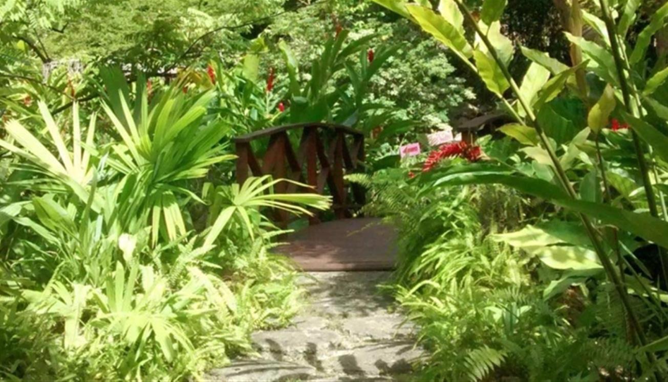 Gardens & Flora of the Caribbean – Barbados Botanical Paradise